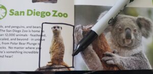 Make a Zoo: Themed Fine Motor Skill Activity for Toddlers