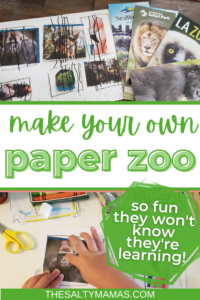 Make a Zoo: Themed Fine Motor Skill Activity for Toddlers