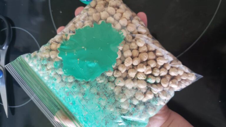 How to Dye Chickpeas (And a Rainbow Dyed Chickpea Recipe!)